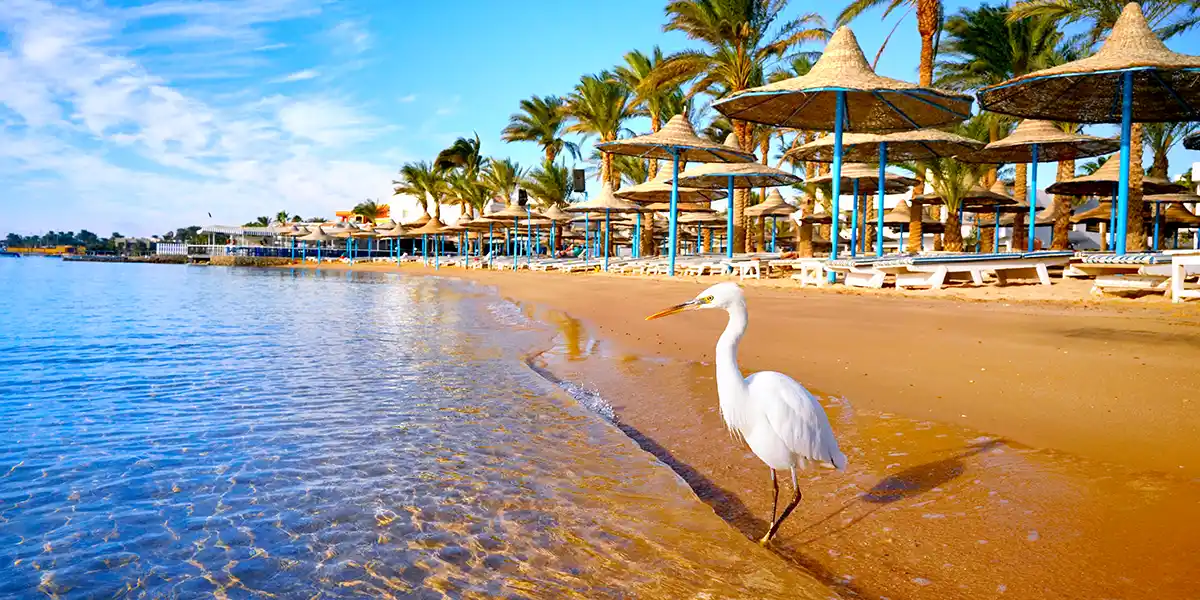 Caves Beach Resort in Hurghada, Egypt | Travelodeal